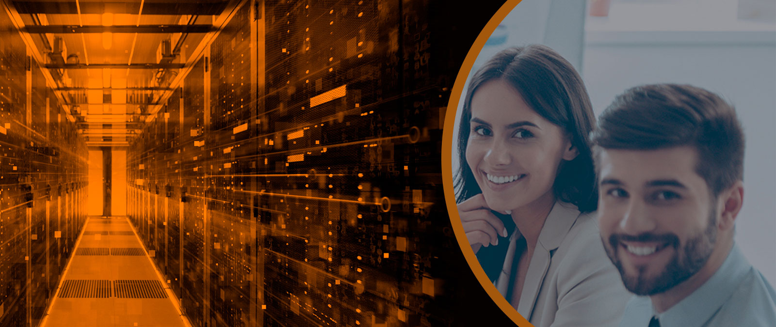 Network Solutions & Services (Data Networks) - Microbase